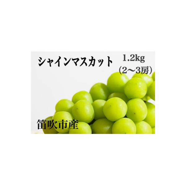 ■お礼品詳細　・配送種別：冷蔵便■お申し込み・配送・その他　・発送時期：2026-08-19〜2026-10-15（お届け時間帯指定可）　・申込受付期間：〜2026-10-10　・配達外のエリア：離島、沖縄県　・寄付証明書の送付時期目安：申...