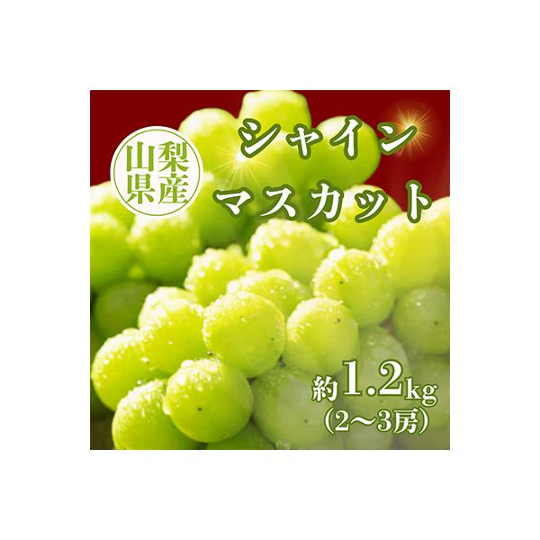 ■お礼品詳細　・配送種別：冷蔵便■お申し込み・配送・その他　・発送時期：2026-08-15〜2026-10-15（お届け時間帯指定可）　・申込受付期間：〜2026-08-11　・配達外のエリア：離島　・寄付証明書の送付時期目安：申込完了日...