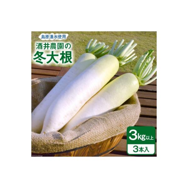 ■お礼品詳細　・配送種別：通常■お申し込み・配送・その他　・発送時期：2025-12-15〜2026-02-28（お届け時間帯指定可）　・申込受付期間：〜2026-02-01　・配達外のエリア：離島、北海道、沖縄県、東北　・寄付証明書の送付...