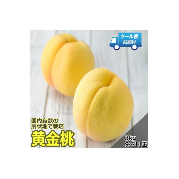 ■お礼品詳細　・配送種別：冷蔵便■お申し込み・配送・その他　・発送時期：2026-06-30〜2026-07-30（お届け時間帯指定可）　・申込受付期間：〜2026-07-23　・配達外のエリア：離島、沖縄県　・寄付証明書の送付時期目安：申...