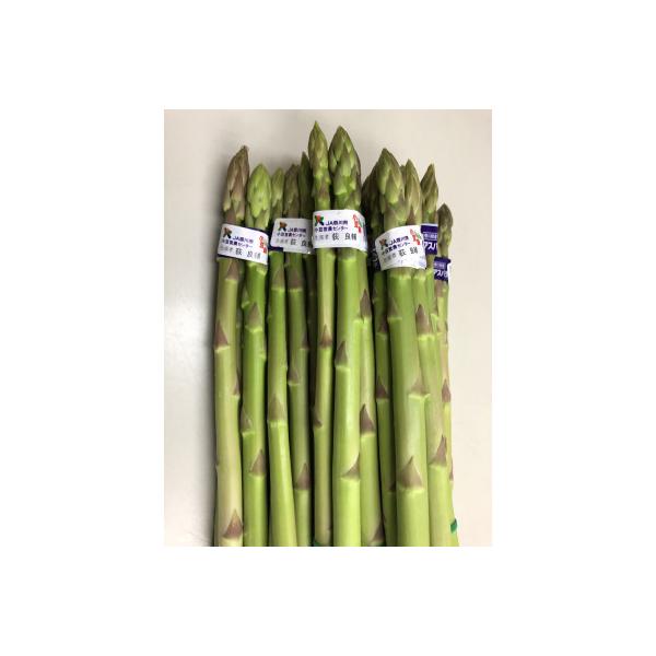 ■お礼品詳細　・配送種別：冷蔵便■お申し込み・配送・その他　・発送時期：2026-06-22〜2026-10-24　・申込受付期間：〜2026-09-20　・配達外のエリア：離島　・寄付証明書の送付時期目安：申込完了日から２週間程度　・提供...