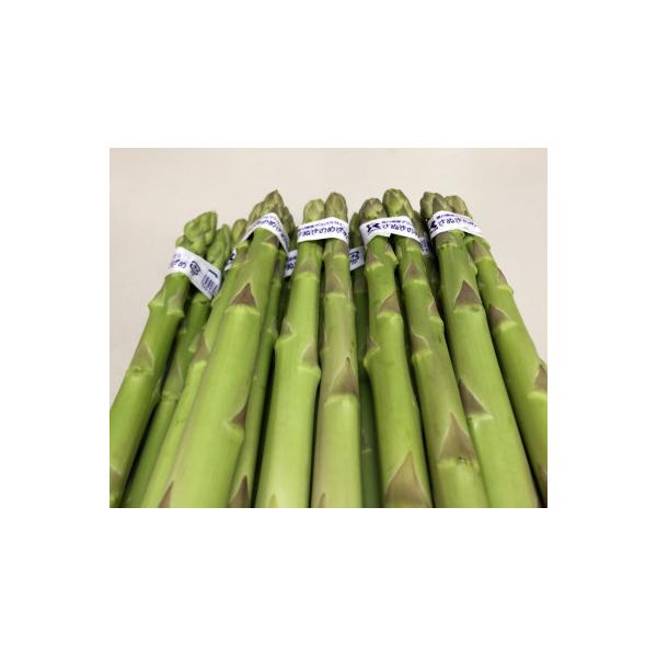 ■お礼品詳細　・配送種別：冷蔵便■お申し込み・配送・その他　・発送時期：2026-03-06〜2026-10-17　・申込受付期間：〜2026-09-27　・配達外のエリア：離島　・寄付証明書の送付時期目安：申込完了日から２週間程度    ...