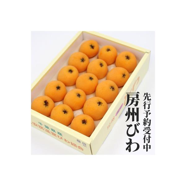 ■お礼品詳細　・配送種別：通常■お申し込み・配送・その他　・発送時期：2026-04-20〜2026-05-31（お届け時間帯指定可）　・申込受付期間：〜2026-04-20　・配達外のエリア：離島、沖縄県　・寄付証明書の送付時期目安：申込...