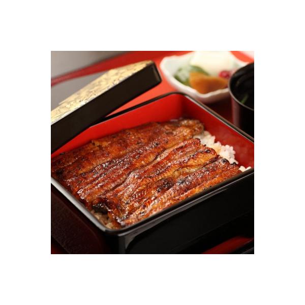 ■お礼品詳細　・配送種別：通常■お申し込み・配送・その他　・発送時期：お申し込み後1週間程度で順次発送予定（お届け時間帯指定可）　・申込受付期間：通年　・配達外のエリア：　・寄付証明書の送付時期目安：申込完了日から２週間程度　・提供元：鰻　...