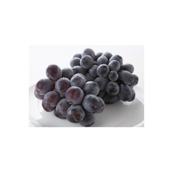 ■お礼品詳細　・配送種別：冷蔵便■お申し込み・配送・その他　・発送時期：2026-08-10〜2026-09-10（お届け時間帯指定可）　・申込受付期間：〜2026-08-03　・配達外のエリア：離島　・寄付証明書の送付時期目安：申込完了日...