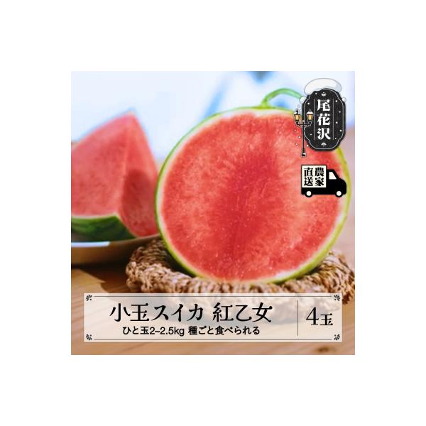 ■お礼品詳細　・配送種別：通常■お申し込み・配送・その他　・発送時期：2026-07-10〜2026-08-10（お届け時間帯指定可）　・申込受付期間：〜2026/6/30　・配達外のエリア：離島、沖縄県　・寄付証明書の送付時期目安：申込完...