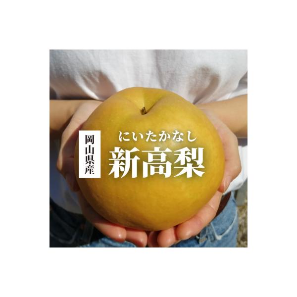 ■お礼品詳細　・配送種別：通常■お申し込み・配送・その他　・発送時期：2026-10-01〜2026-11-14（お届け時間帯指定可）　・申込受付期間：〜2026-10-31　・配達外のエリア：　・寄付証明書の送付時期目安：申込完了日から２...