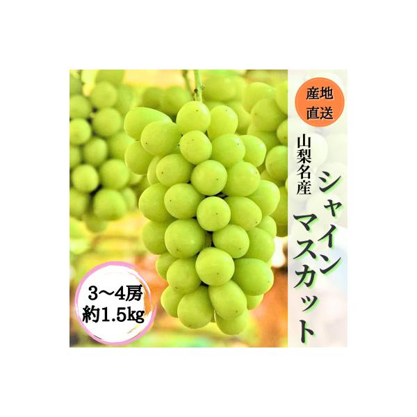■お礼品詳細　・配送種別：冷蔵便■お申し込み・配送・その他　・発送時期：2026-08-16〜2026-10-16（お届け時間帯指定可）　・申込受付期間：〜2026-09-30　・配達外のエリア：離島、沖縄県　・寄付証明書の送付時期目安：申...