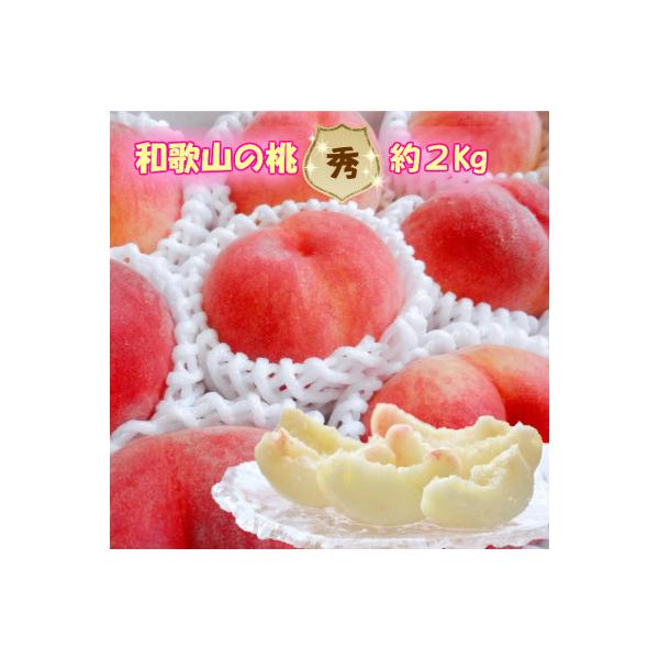 ■お礼品詳細　・配送種別：冷蔵便■お申し込み・配送・その他　・発送時期：2026-07-01〜2026-07-31（お届け時間帯指定可）　・申込受付期間：2025-10-30〜2026-07-15　・配達外のエリア：離島　・寄付証明書の送付...