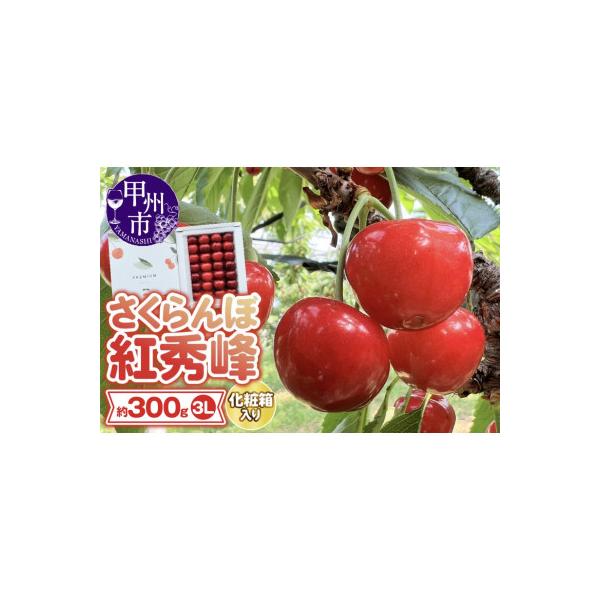■お礼品詳細　・配送種別：冷蔵便■お申し込み・配送・その他　・発送時期：2026-06-05〜2026-06-21（お届け時間帯指定可）　・申込受付期間：〜2026-06-16　・配達外のエリア：離島、沖縄県　・寄付証明書の送付時期目安：申...