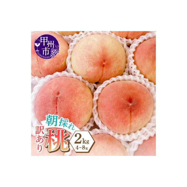 ■お礼品詳細　・配送種別：冷蔵便■お申し込み・配送・その他　・発送時期：2026-06-30〜2026-09-10（お届け時間帯指定可）　・申込受付期間：〜2026-08-31　・配達外のエリア：離島、沖縄県　・寄付証明書の送付時期目安：申...