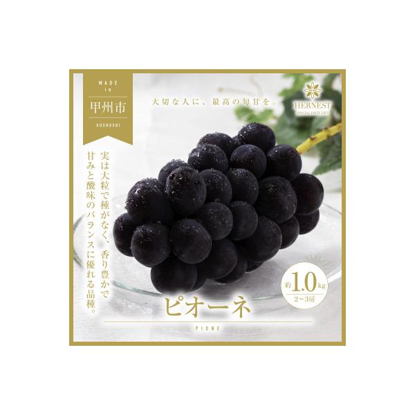 ■お礼品詳細　・配送種別：冷蔵便■お申し込み・配送・その他　・発送時期：2026-08-15〜2026-09-30（お届け時間帯指定可）　・申込受付期間：〜2026-08-10　・配達外のエリア：離島、沖縄県　・寄付証明書の送付時期目安：申...