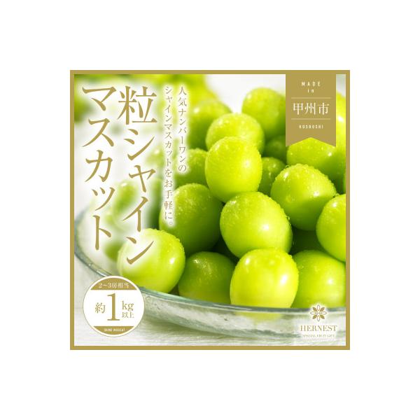 ■お礼品詳細　・配送種別：冷蔵便■お申し込み・配送・その他　・発送時期：2026-09-01〜2026-10-31（お届け時間帯指定可）　・申込受付期間：〜2026-09-15　・配達外のエリア：離島、沖縄県　・寄付証明書の送付時期目安：申...