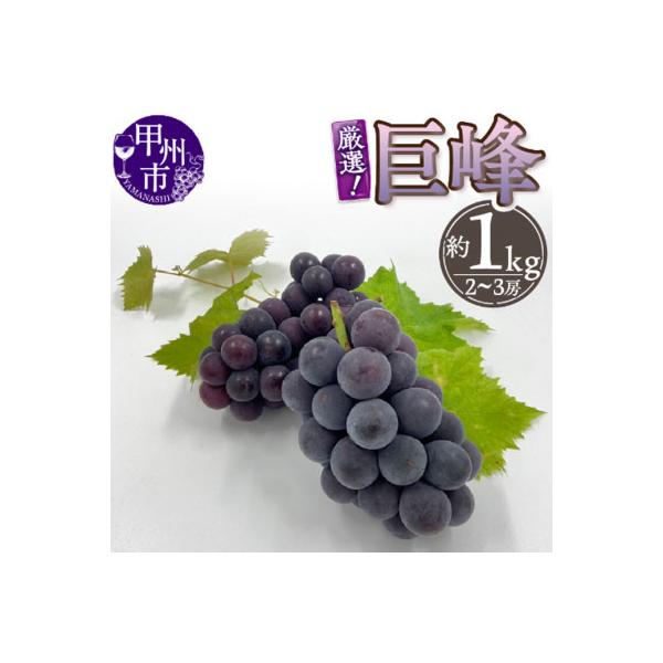 ■お礼品詳細　・配送種別：通常■お申し込み・配送・その他　・発送時期：2026-08-15〜2026-10-31（お届け時間帯指定可）　・申込受付期間：2025-10-18〜2026-09-30　・配達外のエリア：離島、沖縄県　・寄付証明書...