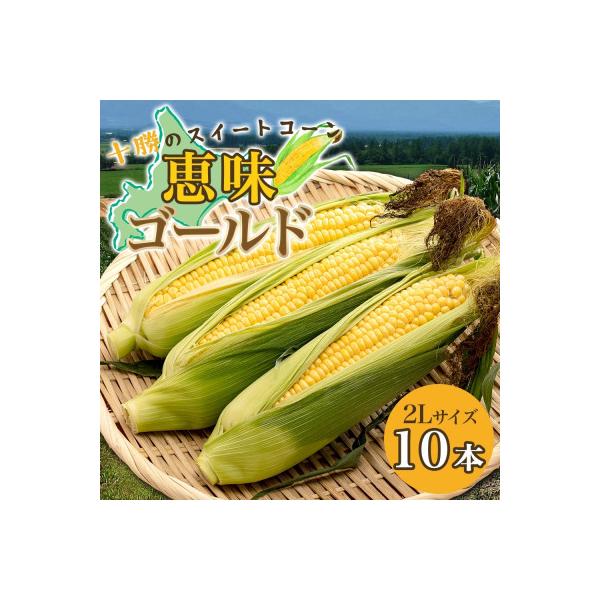 ■お礼品詳細　・配送種別：冷蔵便■お申し込み・配送・その他　・発送時期：2026-07-20〜2026-08-15（お届け時間帯指定可）　・申込受付期間：〜2026-07-05　・配達外のエリア：離島　・寄付証明書の送付時期目安：申込完了日...