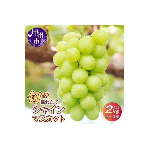 ■お礼品詳細　・配送種別：通常■お申し込み・配送・その他　・発送時期：2026-08-25〜2026-10-31（お届け時間帯指定可）　・申込受付期間：〜2026-10-12　・配達外のエリア：離島、沖縄県　・寄付証明書の送付時期目安：申込...