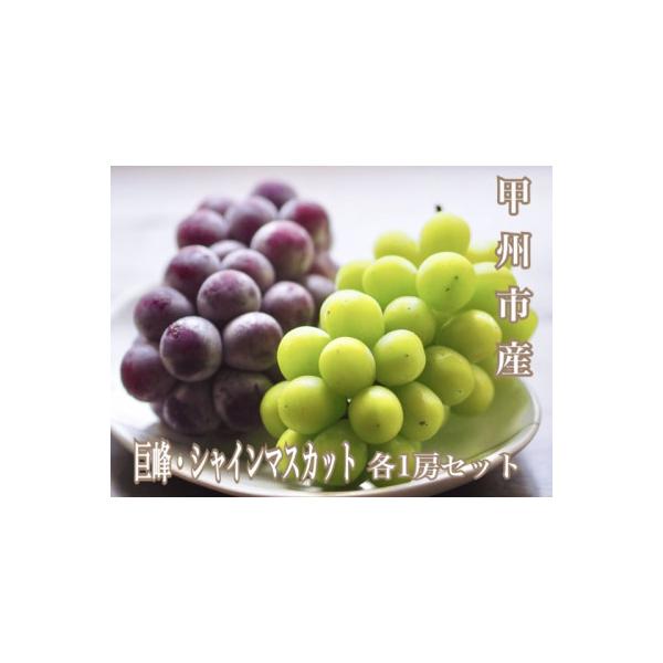 ■お礼品詳細　・配送種別：通常■お申し込み・配送・その他　・発送時期：2026-08-14〜2026-10-10（お届け時間帯指定可）　・申込受付期間：〜2026-09-30　・配達外のエリア：離島、沖縄県　・寄付証明書の送付時期目安：申込...