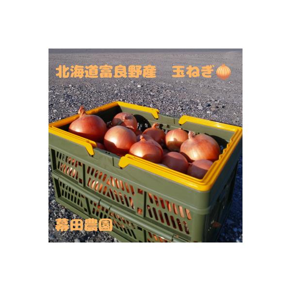 ■お礼品詳細　・配送種別：通常■お申し込み・配送・その他　・発送時期：2026-10-01〜2026-10-31（お届け時間帯指定可）　・申込受付期間：〜2026-10-23　・配達外のエリア：　・寄付証明書の送付時期目安：申込完了日から１...