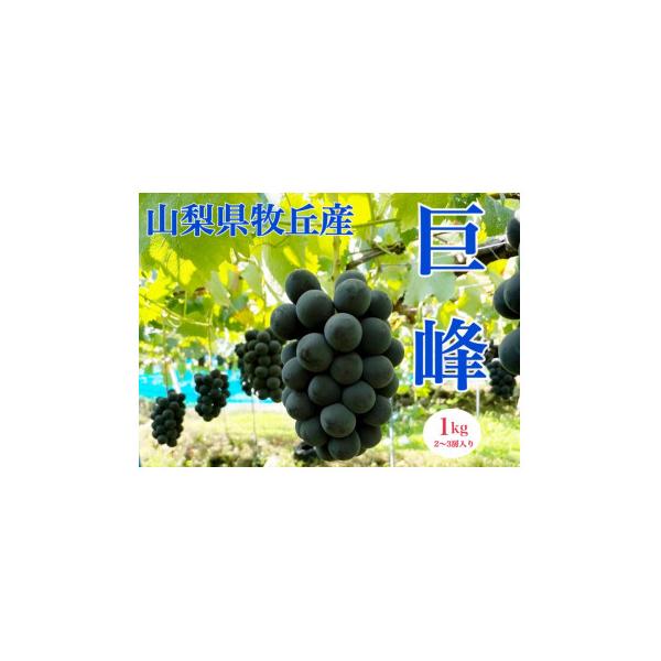 ■お礼品詳細　・配送種別：冷蔵便■お申し込み・配送・その他　・発送時期：2026-08-30〜2026-09-25（お届け時間帯指定可）　・申込受付期間：〜2026-09-20　・配達外のエリア：離島、沖縄県　・寄付証明書の送付時期目安：申...