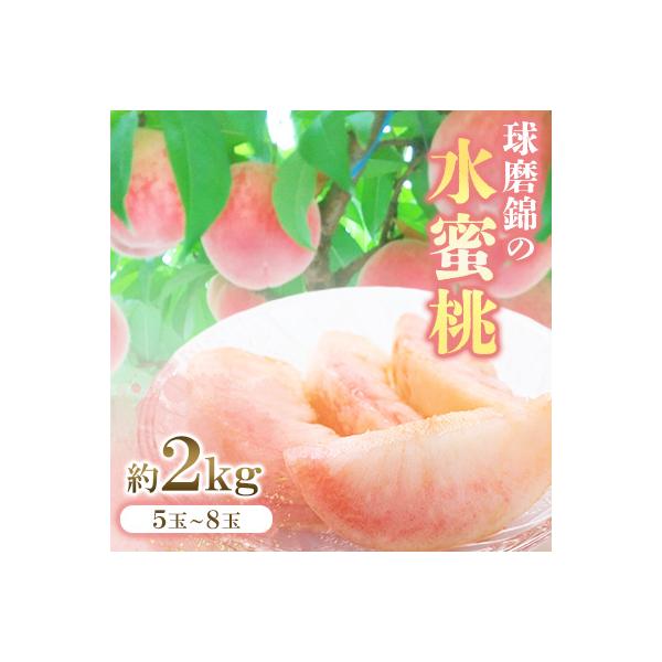 ■お礼品詳細　・配送種別：冷蔵便■お申し込み・配送・その他　・発送時期：2026-07-13〜2026-08-04（お届け時間帯指定可）　・申込受付期間：〜2026-07-31　・配達外のエリア：離島、北海道、沖縄県、東北、関東　・寄付証明...