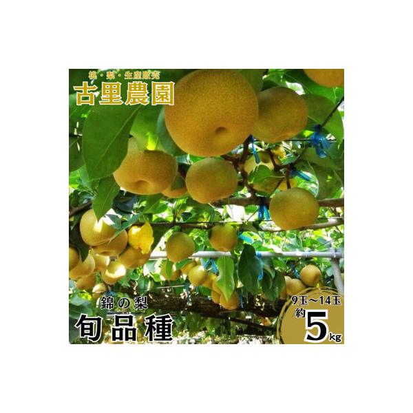■お礼品詳細　・配送種別：冷蔵便■お申し込み・配送・その他　・発送時期：2026-07-13〜2026-10-14（お届け時間帯指定可）　・申込受付期間：〜2026-10-10　・配達外のエリア：離島　・寄付証明書の送付時期目安：申込完了日...
