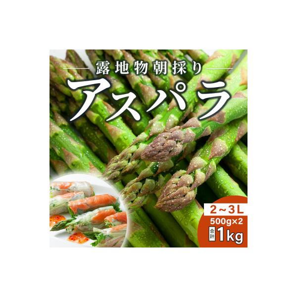 ■お礼品詳細　・配送種別：冷蔵便■お申し込み・配送・その他　・発送時期：2026-05-20〜2026-06-20（お届け時間帯指定可）　・申込受付期間：〜2026-05-31　・配達外のエリア：離島　・寄付証明書の送付時期目安：申し込み完...