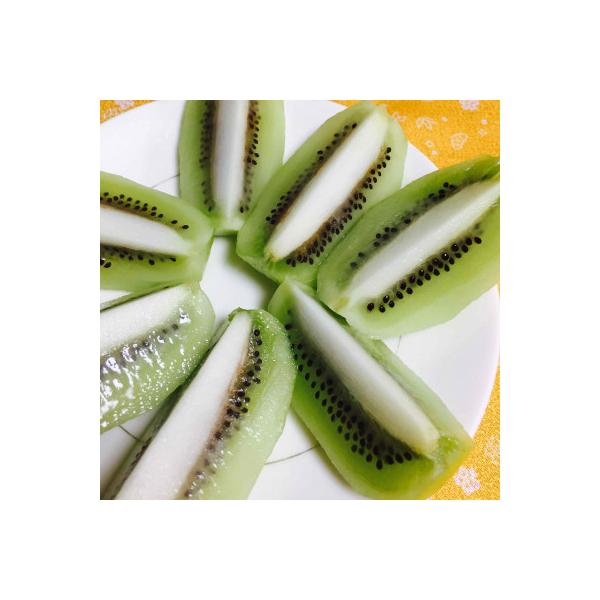 ■お礼品詳細　・配送種別：通常■お申し込み・配送・その他　・発送時期：2026-01-04〜2026-03-15（お届け時間帯指定可）　・申込受付期間：2025-05-07〜2026-03-10　・配達外のエリア：　・寄付証明書の送付時期目...