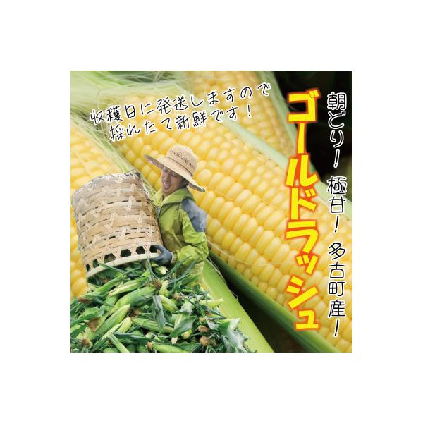 ■お礼品詳細　・配送種別：冷蔵便■お申し込み・配送・その他　・発送時期：2026-06-19〜2026-07-17（お届け時間帯指定可）　・申込受付期間：〜2026-07-10　・配達外のエリア：離島　・寄付証明書の送付時期目安：申込完了日...