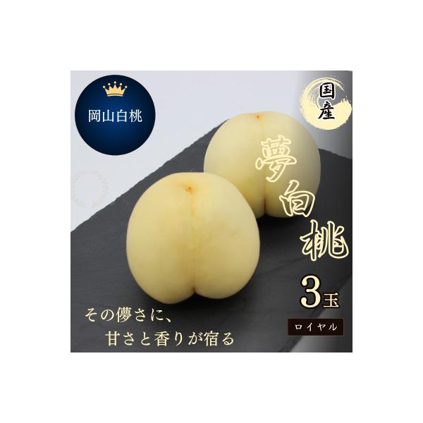 ■お礼品詳細　・配送種別：冷蔵便■お申し込み・配送・その他　・発送時期：2026-07-14〜2026-08-05（お届け時間帯指定可）　・申込受付期間：2025-10-31〜2026-07-10　・配達外のエリア：離島　・寄付証明書の送付...