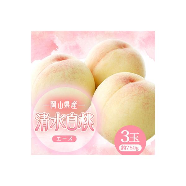 ■お礼品詳細　・配送種別：冷蔵便■お申し込み・配送・その他　・発送時期：2026-07-10〜2026-07-21（お届け時間帯指定可）　・申込受付期間：〜2026-07-10　・配達外のエリア：離島　・寄付証明書の送付時期目安：申込完了日...