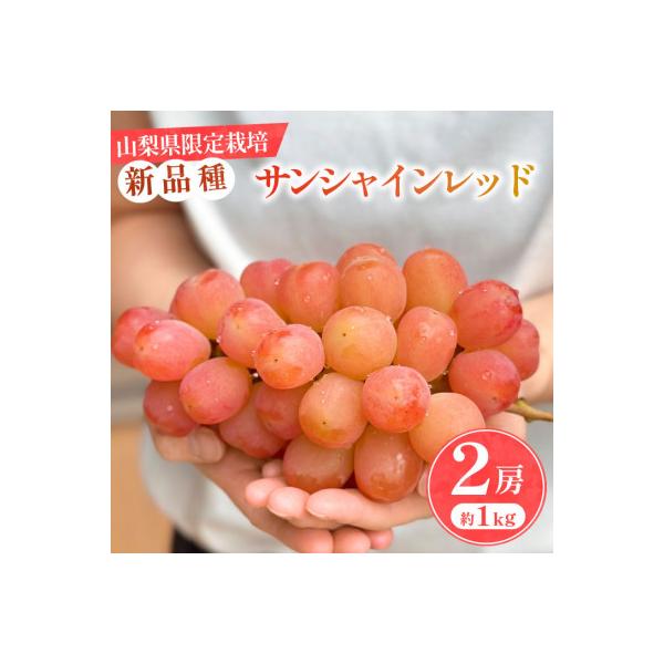 ■お礼品詳細　・配送種別：冷蔵便■お申し込み・配送・その他　・発送時期：2026-09-02〜2026-09-30（お届け時間帯指定可）　・申込受付期間：〜2026-09-10迄　・配達外のエリア：離島、沖縄県　・寄付証明書の送付時期目安：...