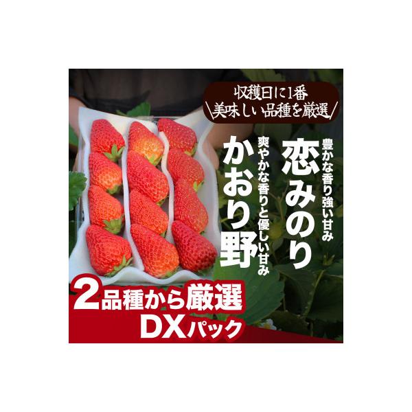 ■お礼品詳細　・配送種別：冷蔵便■お申し込み・配送・その他　・発送時期：2026-01-05〜2026-05-01（お届け時間帯指定可）　・申込受付期間：〜2026-04-26　・配達外のエリア：離島、北海道、沖縄県、東北、中国、四国、九州...
