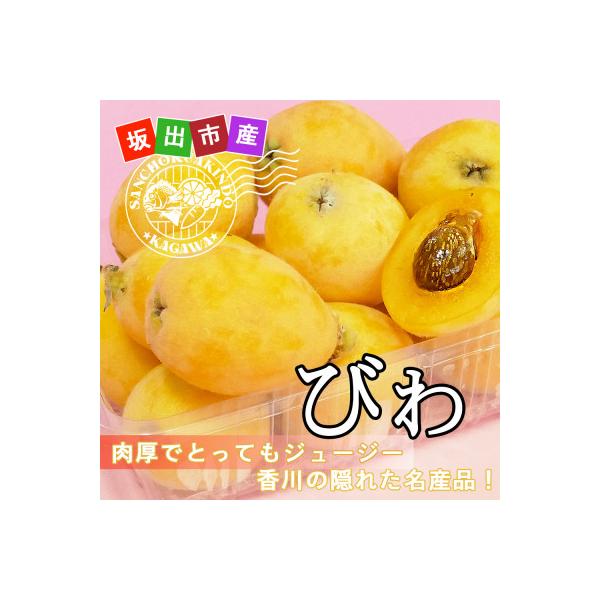 ■お礼品詳細　・配送種別：冷蔵便■お申し込み・配送・その他　・発送時期：2026-05-17〜2026-05-27（お届け時間帯指定可）　・申込受付期間：〜2026-05-15　・配達外のエリア：離島、北海道、沖縄県　・寄付証明書の送付時期...