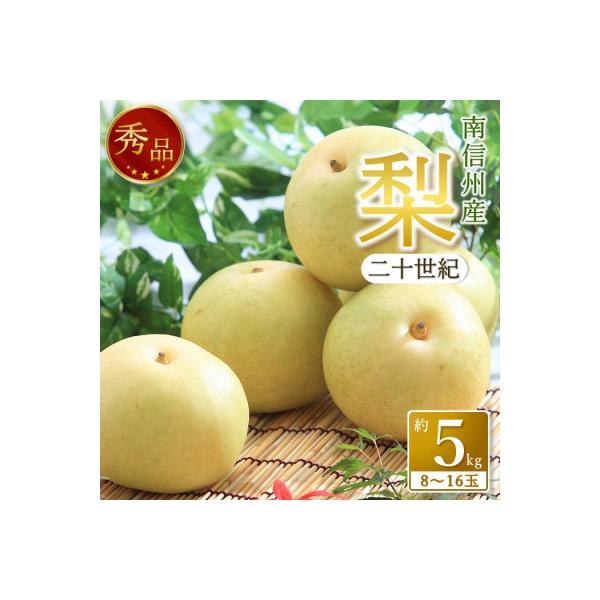 ■お礼品詳細　・配送種別：通常■お申し込み・配送・その他　・発送時期：2026-09-04〜2026-09-21（お届け時間帯指定可）　・申込受付期間：2025-12-10〜2026-09-07　・配達外のエリア：　・寄付証明書の送付時期目...