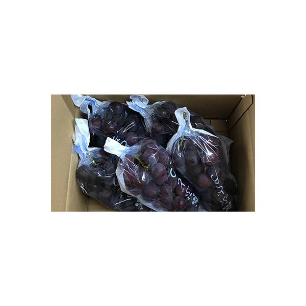 ■お礼品詳細　・配送種別：冷蔵便■お申し込み・配送・その他　・発送時期：2026-08-16〜2026-10-10（お届け時間帯指定可）　・申込受付期間：〜2026-09-20　・配達外のエリア：離島　・寄付証明書の送付時期目安：申込完了日...