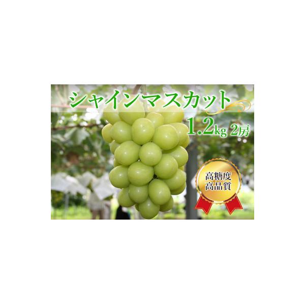 ■お礼品詳細　・配送種別：通常■お申し込み・配送・その他　・発送時期：2026-08-25〜2026-09-30（お届け時間帯指定可）　・申込受付期間：〜2026-09-05迄　・配達外のエリア：離島、沖縄県　・寄付証明書の送付時期目安：申...