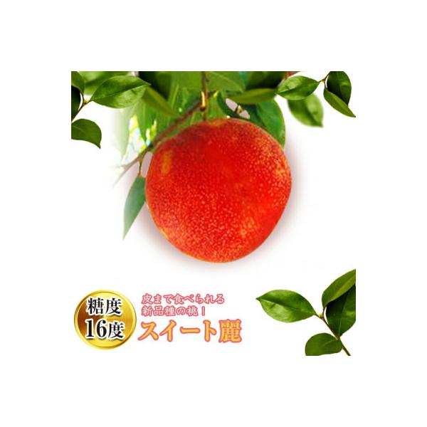 ■お礼品詳細　・配送種別：通常■お申し込み・配送・その他　・発送時期：2026-08-21〜2026-09-10（お届け時間帯指定可）　・申込受付期間：〜2026-06-30　・配達外のエリア：離島　・寄付証明書の送付時期目安：申込完了日か...