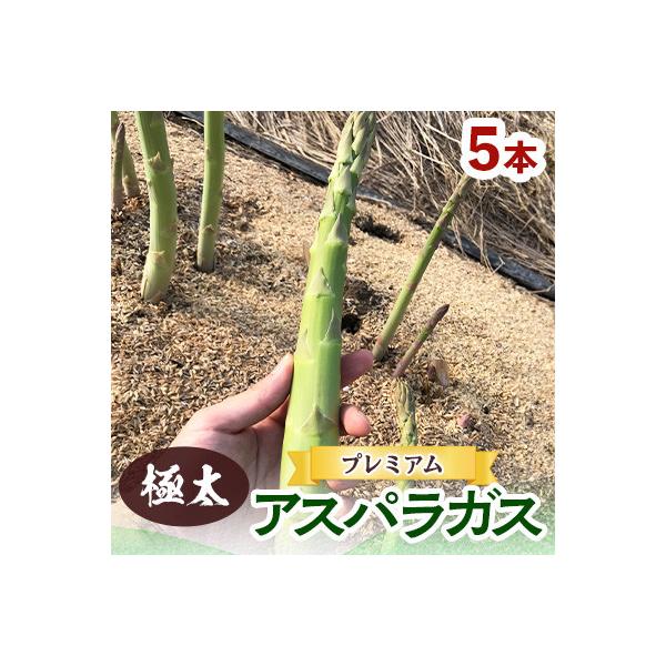 ■お礼品詳細　・配送種別：冷蔵便■お申し込み・配送・その他　・発送時期：2026-04-30〜2026-05-15（お届け時間帯指定可）　・申込受付期間：〜2026-05-10　・配達外のエリア：離島　・寄付証明書の送付時期目安：申込完了日...