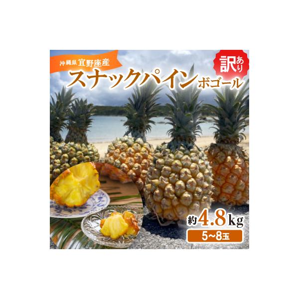 ■お礼品詳細　・配送種別：通常■お申し込み・配送・その他　・発送時期：2026-05-20〜2026-07-18（お届け時間帯指定可）　・申込受付期間：2025-09-01〜2026-05-31　・配達外のエリア：　・寄付証明書の送付時期目...