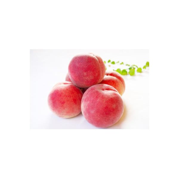 ■お礼品詳細　・配送種別：冷蔵便■お申し込み・配送・その他　・発送時期：2026-08-01〜2026-09-10（お届け時間帯指定可）　・申込受付期間：2025-10-01〜2026-08-31　・配達外のエリア：離島　・寄付証明書の送付...