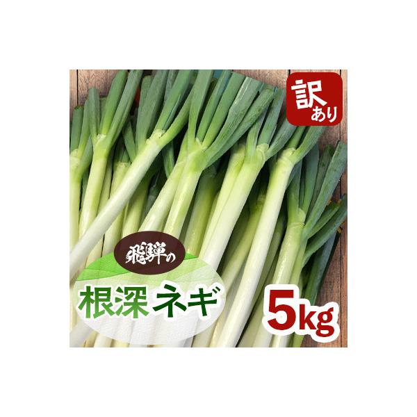 ■お礼品詳細　・配送種別：冷蔵便■お申し込み・配送・その他　・発送時期：2026-10-01〜2026-11-30（お届け時間帯指定可）　・申込受付期間：〜2026-11-25　　・配達外のエリア：離島　・寄付証明書の送付時期目安：申込完了...