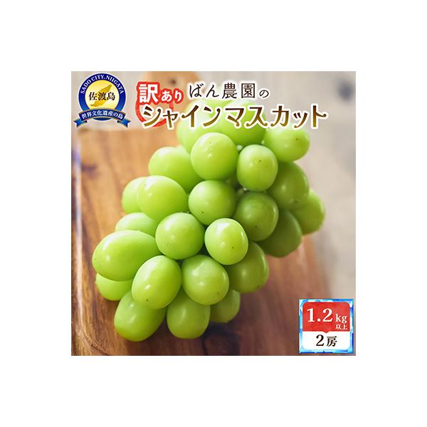 ■お礼品詳細　・配送種別：冷蔵便■お申し込み・配送・その他　・発送時期：2026-09-01〜2026-09-28（お届け時間帯指定可）　・申込受付期間：2025-12-01〜2026-09-20　・配達外のエリア：離島　・寄付証明書の送付...