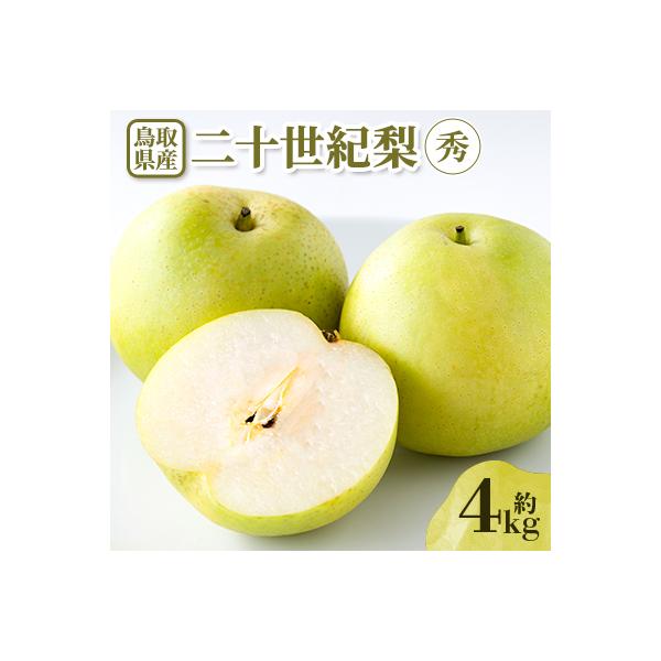 ■お礼品詳細　・配送種別：通常■お申し込み・配送・その他　・発送時期：2026-08-24〜2026-09-30（お届け時間帯指定可）　・申込受付期間：〜2026-08-31　・配達外のエリア：離島、北海道、沖縄県　・寄付証明書の送付時期目...