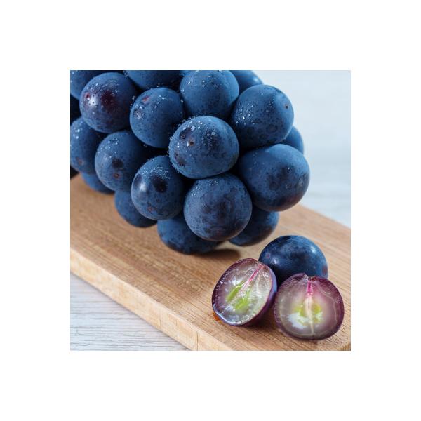 ■お礼品詳細　・配送種別：冷蔵便■お申し込み・配送・その他　・発送時期：2026-08-24〜2026-09-15（お届け時間帯指定可）　・申込受付期間：〜2026-09-08　・配達外のエリア：離島　・寄付証明書の送付時期目安：申込完了日...