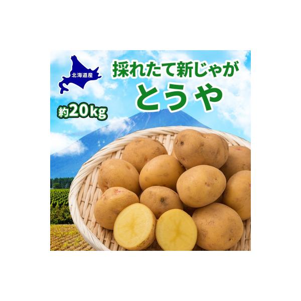 ■お礼品詳細　・配送種別：通常■お申し込み・配送・その他　・発送時期：2026-09-07〜2026-11-30（お届け時間帯指定可）　・申込受付期間：〜2026-11-10　・配達外のエリア：　・寄付証明書の送付時期目安：申込完了日から２...
