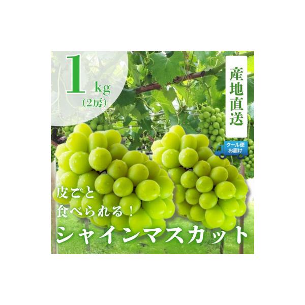 ■お礼品詳細　・配送種別：冷蔵便■お申し込み・配送・その他　・発送時期：2026-08-31〜2026-10-02（お届け時間帯指定可）　・申込受付期間：〜2026-09-25　・配達外のエリア：離島、北海道、沖縄県、東北、中国、四国、九州...