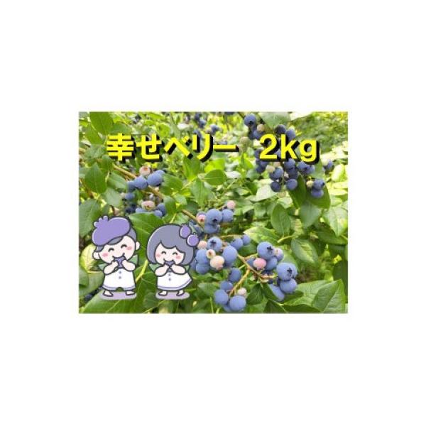 ■お礼品詳細　・配送種別：冷凍便■お申し込み・配送・その他　・発送時期：2026/7/10から順次発送 ※2026/7/10以降のお申し込みはお申し込み後1〜2週間程度で順次発送予定（お届け時間帯指定可）　・申込受付期間：通年　・配達外のエ...