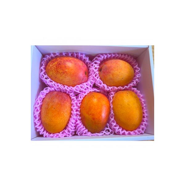 ■お礼品詳細　・配送種別：冷蔵便■お申し込み・配送・その他　・発送時期：2026-07-05〜2026-08-15（お届け時間帯指定可）　・申込受付期間：〜2026-08-10　・配達外のエリア：離島　・寄付証明書の送付時期目安：申込完了日...