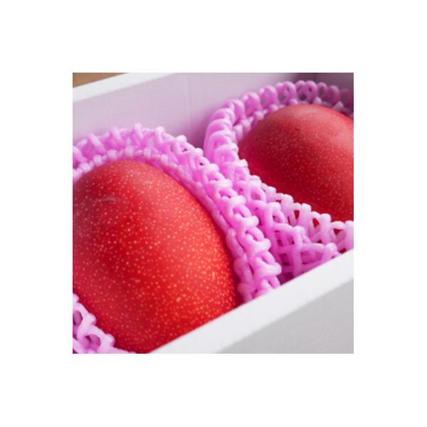 ■お礼品詳細　・配送種別：冷蔵便■お申し込み・配送・その他　・発送時期：2026-07-05〜2026-08-15（お届け時間帯指定可）　・申込受付期間：〜2026-08-10　・配達外のエリア：離島　・寄付証明書の送付時期目安：申込完了日...