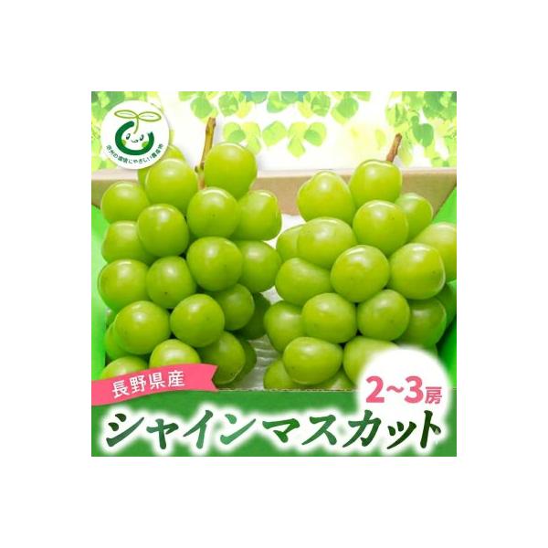 ■お礼品詳細　・配送種別：通常■お申し込み・配送・その他　・発送時期：2026-09-15〜2026-10-25（お届け時間帯指定可）　・申込受付期間：2026-1-16〜2026-10-20　・配達外のエリア：離島　・寄付証明書の送付時期...